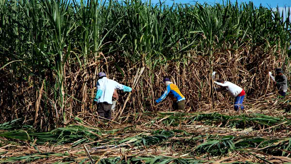 Sa inarestong 100 indibiduwal sa Tarlac 5 DAYUHANG RESEARCHERS ...