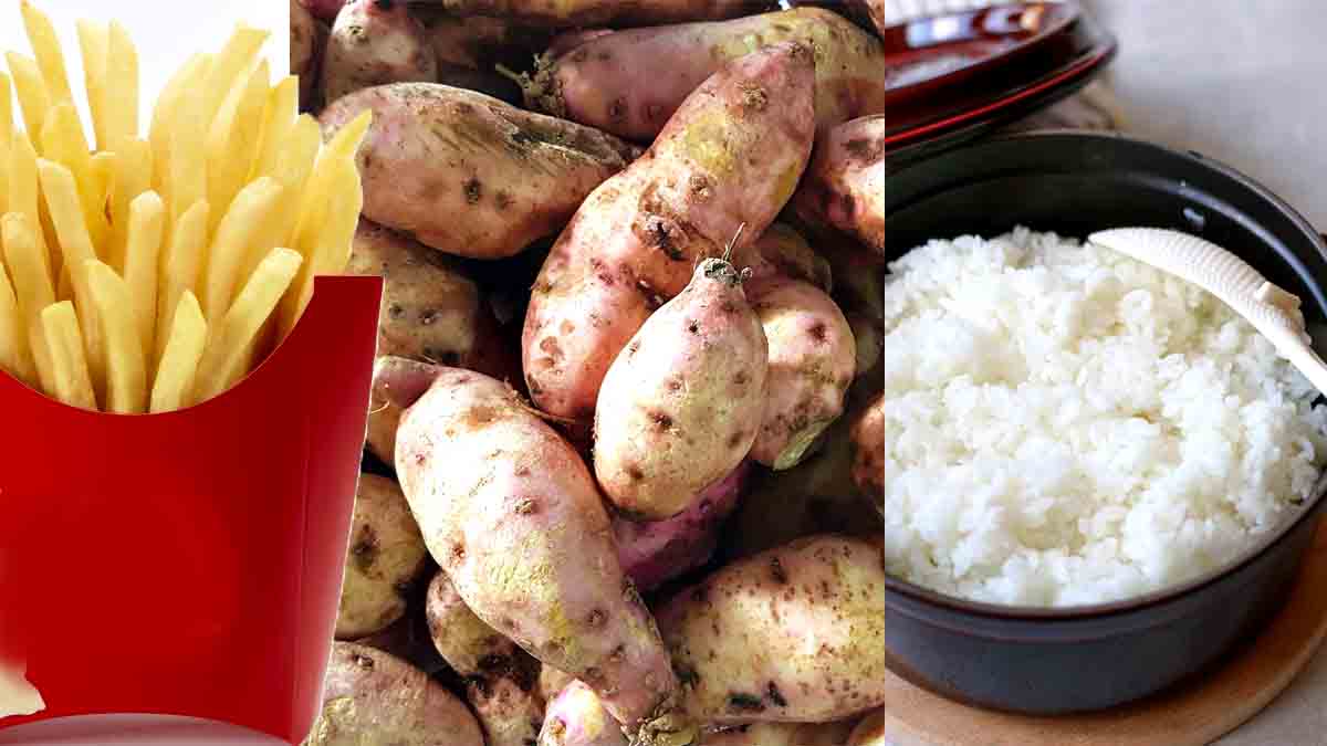 Imbes kanin o french fries KAMOTE MALUSOG NA ALTERNATIBO | HATAW! D ...