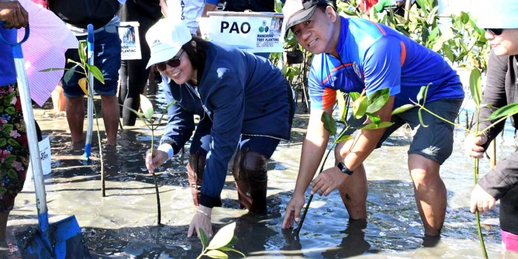 Pamahalaang Panlalawigan ng Bulacan, Eagle Cement, nagtanim ng 2,000 ...