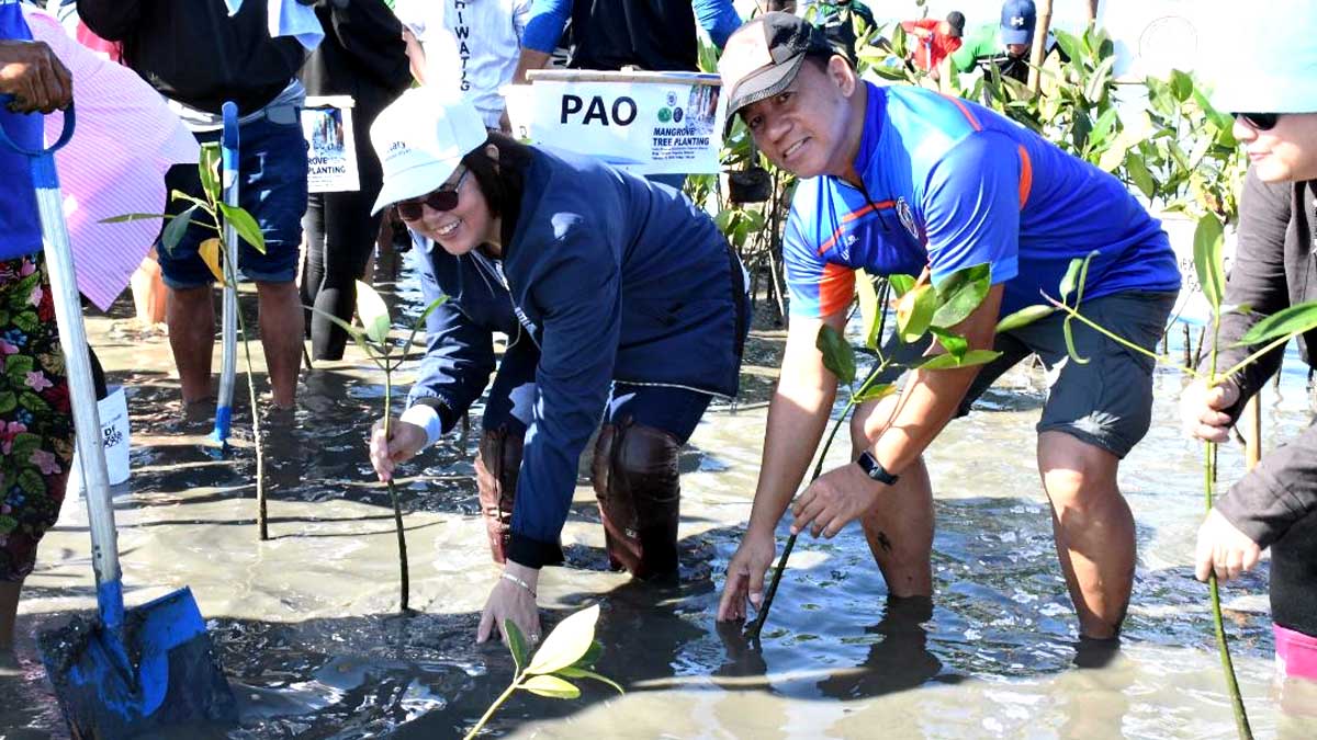 Pamahalaang Panlalawigan ng Bulacan, Eagle Cement, nagtanim ng 2,000 bakawan sa Hagonoy ...