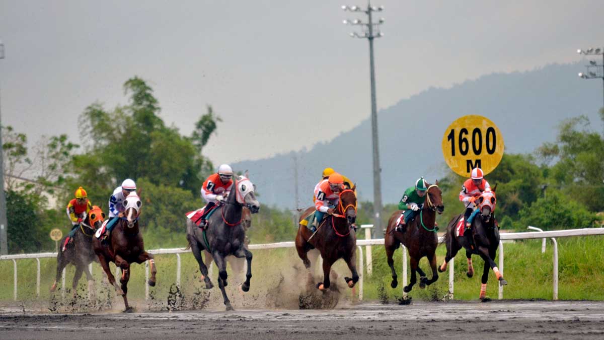 Louiseville tatakbo sa Hopeful Stake Race sa Metro Turf | HATAW! D ...