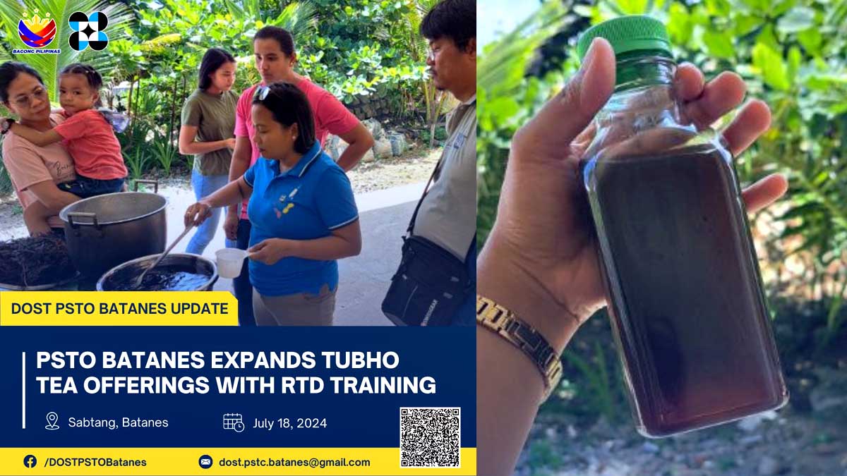 DOST 2 PSTO Batanes Expands Tubho Tea Offerings with RTD Training ...