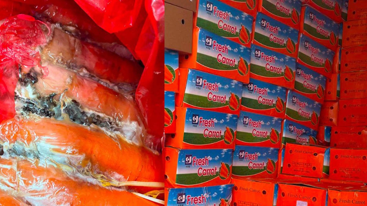 P7-M smuggled carrot sa noodles, nasamsam ng DA at BOC | HATAW! D'yaryo ...